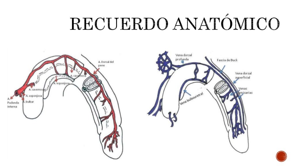 Diagnóstico y tratamiento del priapismo