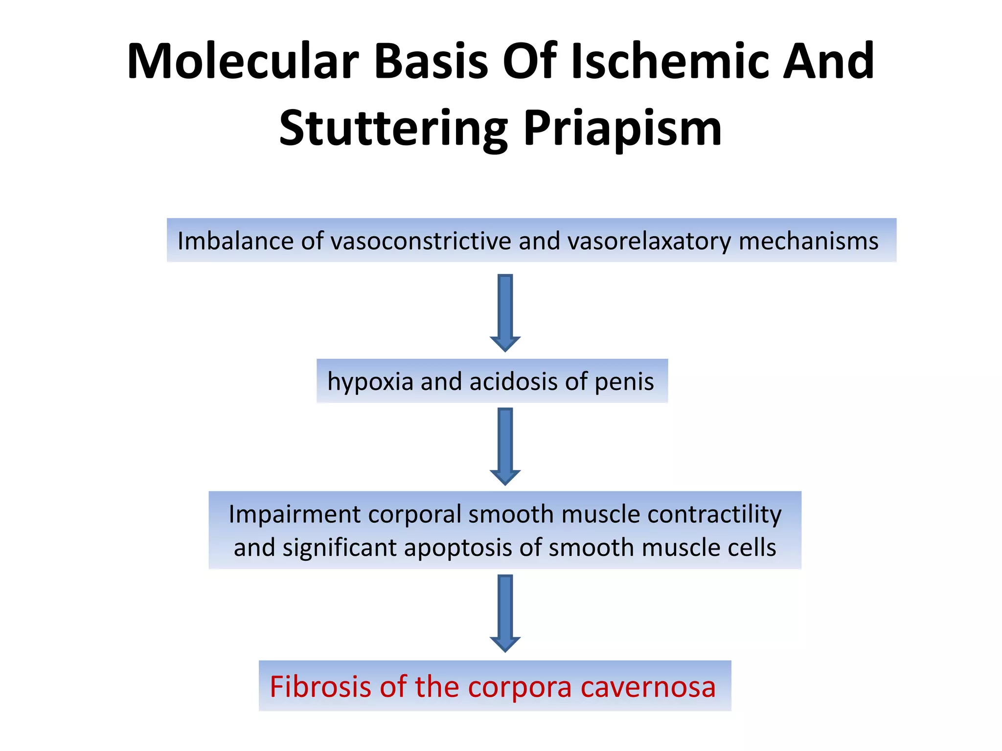 Priapism | PPTX