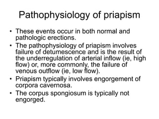 Priapism | PPTX