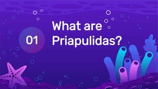 Priapulida Report | PPTX | Fish and Aquariums | Pets