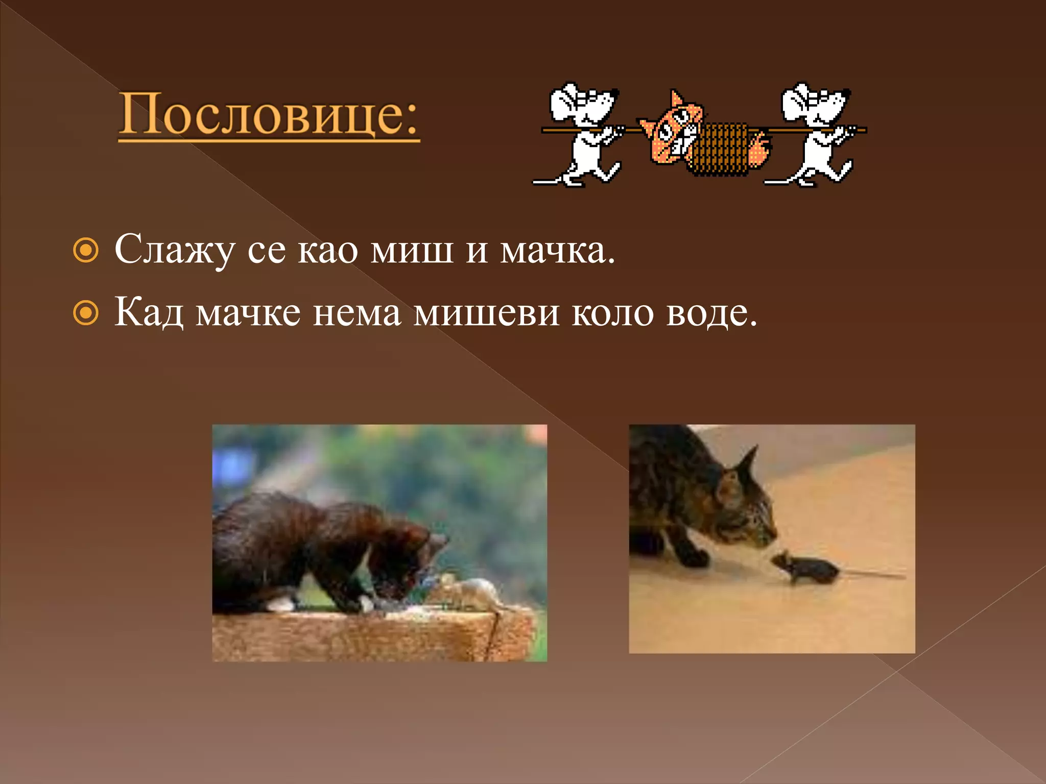 prica-o-nezahvalnom-misu.ppt