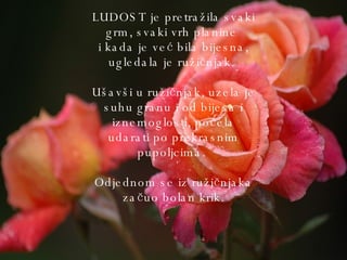 Prica O Osjecajima | PPT