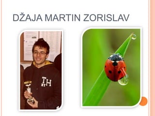 Prica o prijateljstvu II. | PPTX