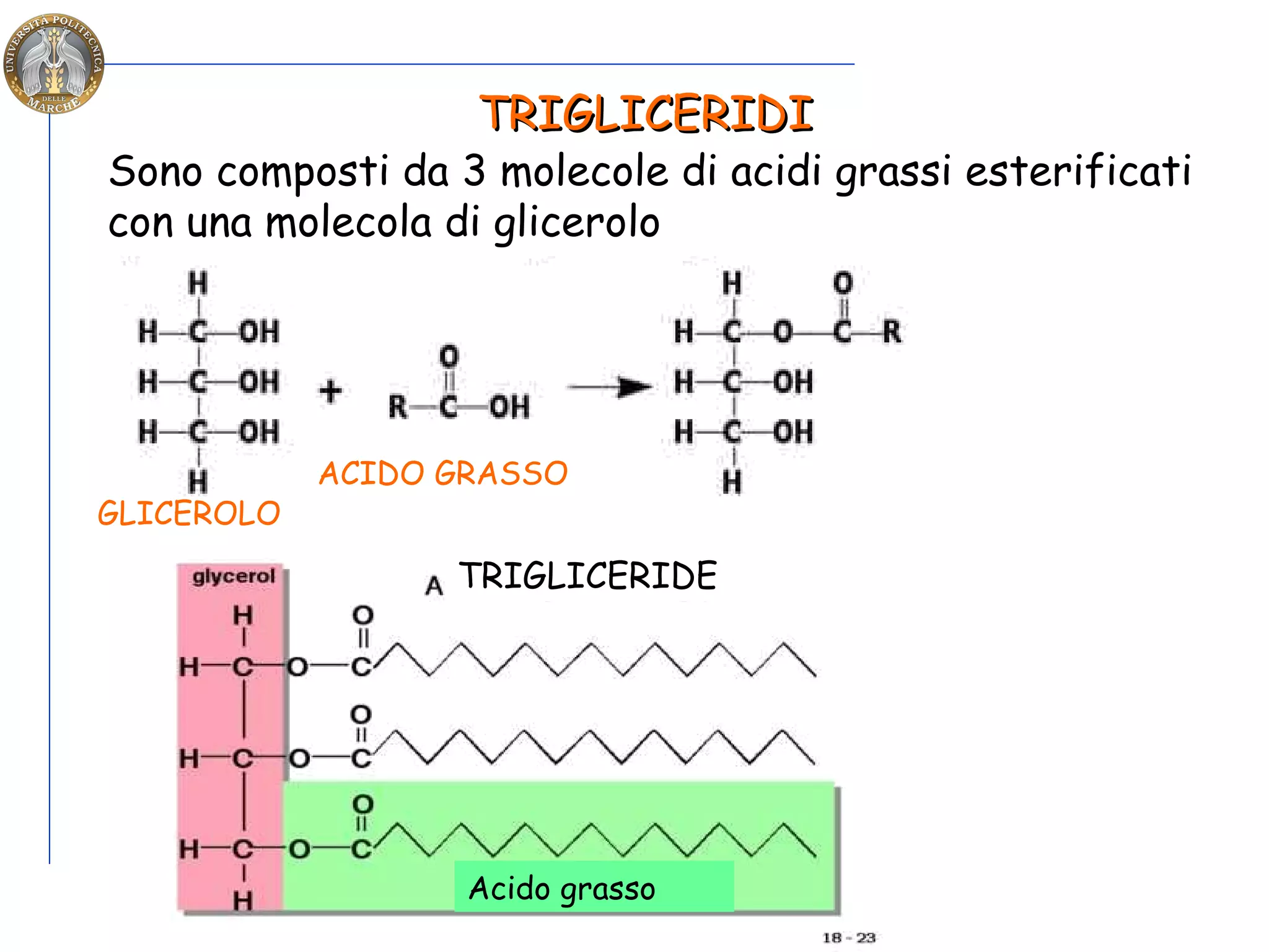 Pricipali classi di lipidi e fonti alimentari | PPT