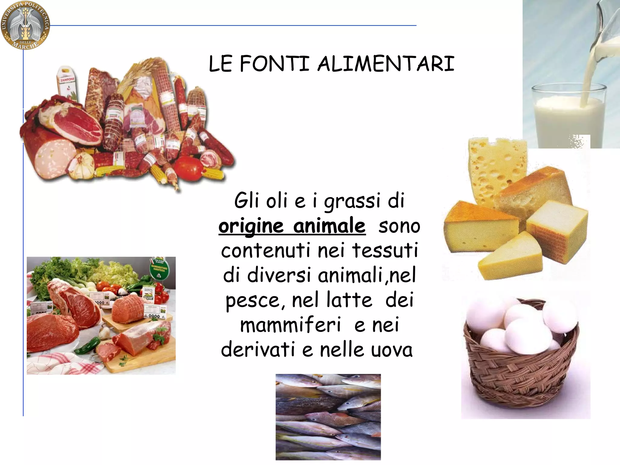 Pricipali classi di lipidi e fonti alimentari | PPT