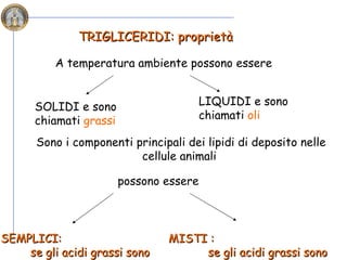 Pricipali classi di lipidi e fonti alimentari | PPT