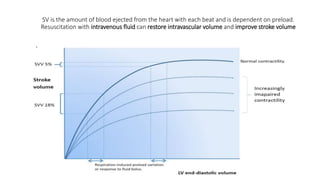 Principle of iv fluid in septic shock | PPTX | First Aid | Injuries