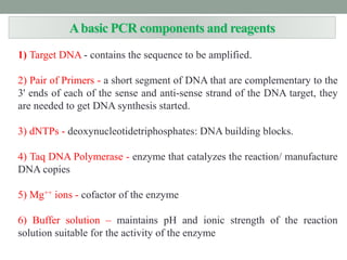 PRINCIPLES OF PCR AND GENE EXPRESSION ANALYSIS | PPTX
