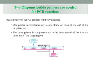PRINCIPLES OF PCR AND GENE EXPRESSION ANALYSIS | PPTX