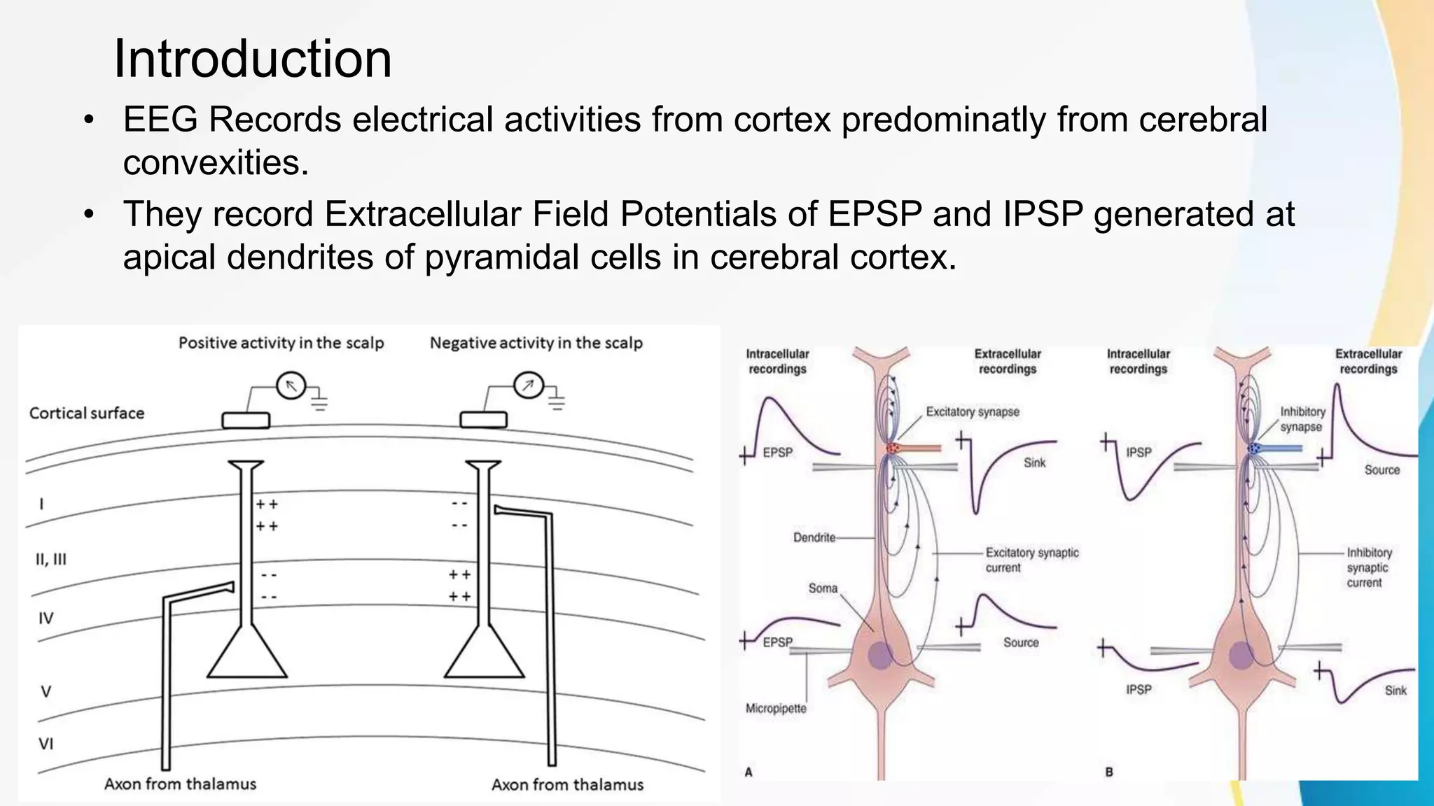 PRICNCIPLES OF ANALOGUE AND DIGITAL EEG.pptx | Digital Audio | Computer ...