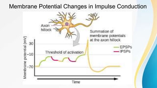 PRICNCIPLES OF ANALOGUE AND DIGITAL EEG.pptx