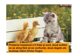 Prietenia cl VIII | PPT