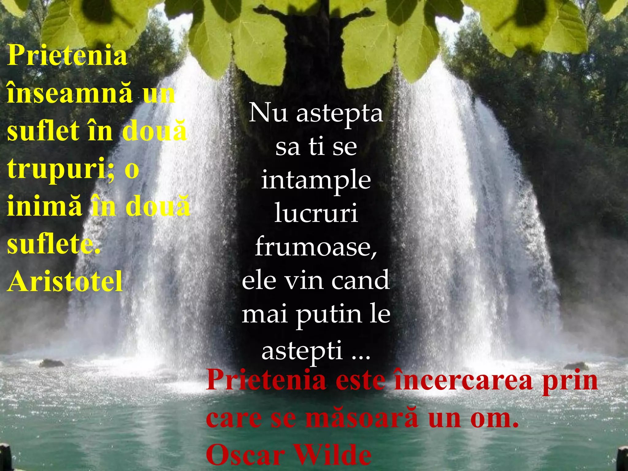 Prietenia invinge violenta! | PDF