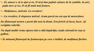 Prietenii fluturasului.pptx
