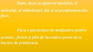 Prietenii fluturasului.pptx