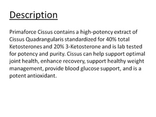 PrimaForce Cissus | PPT