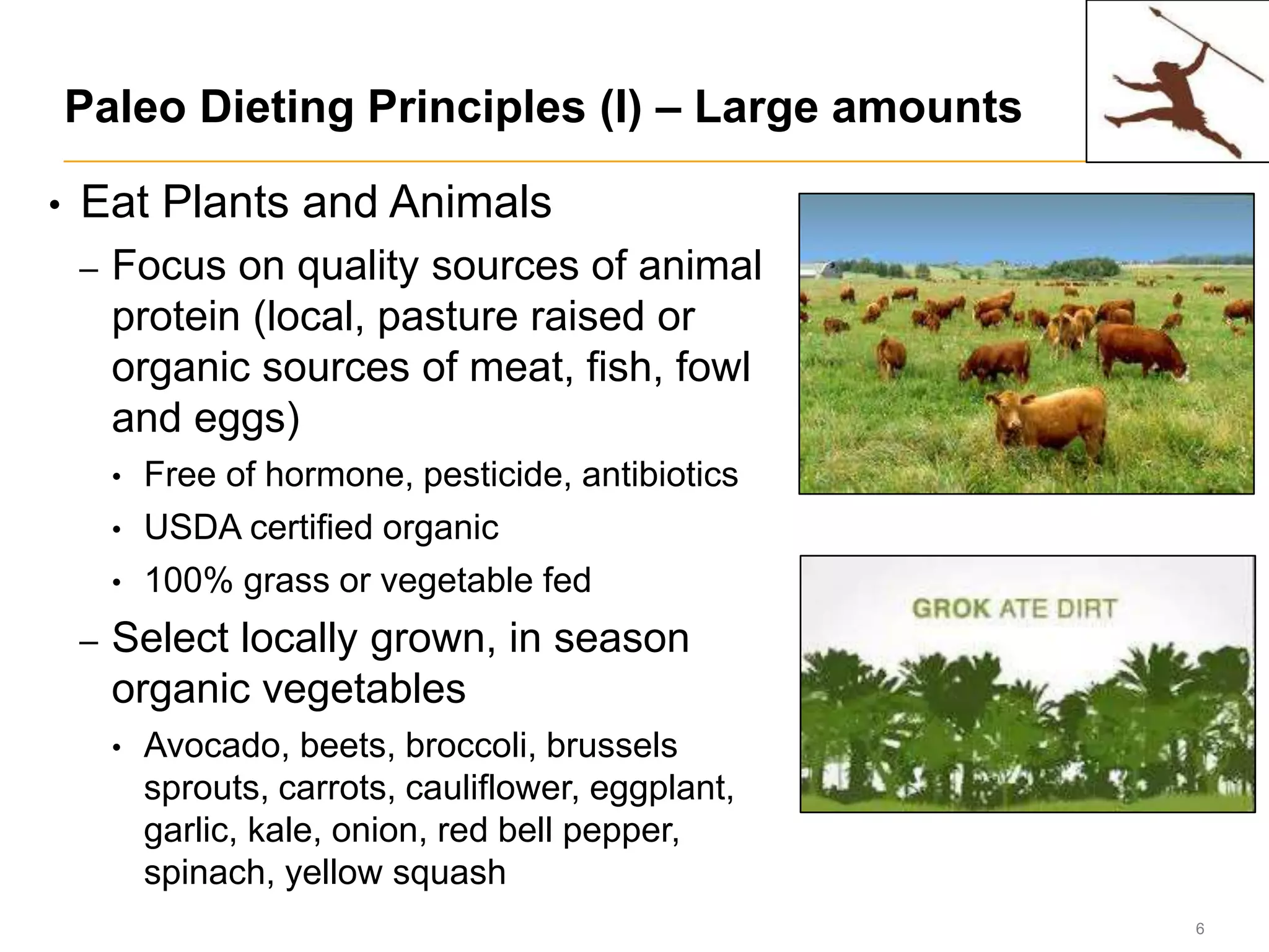 Paleo / Primal Lifestyle 101 | PPT