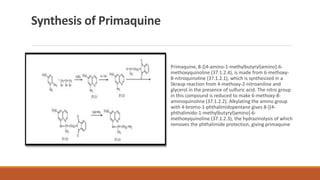 Primaquine Presentation.pptx