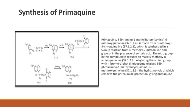 Primaquine Presentation.pptx | Pharmaceutical Drugs | Medical Health