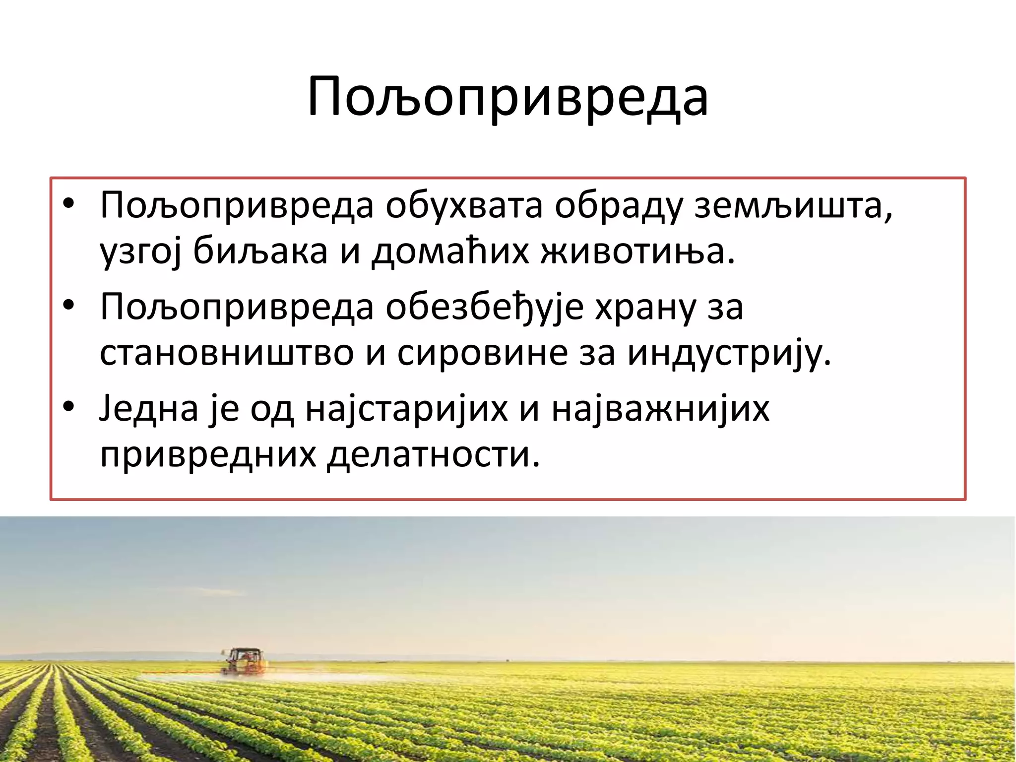 Primarni sektor | PPTX