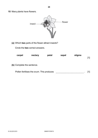 Primary checkpoint-science-0846-october-2015-paper-1 | PDF