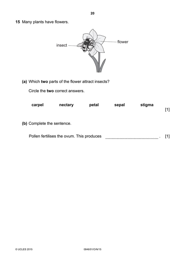 Primary checkpoint-science-0846-october-2015-paper-1 | PDF