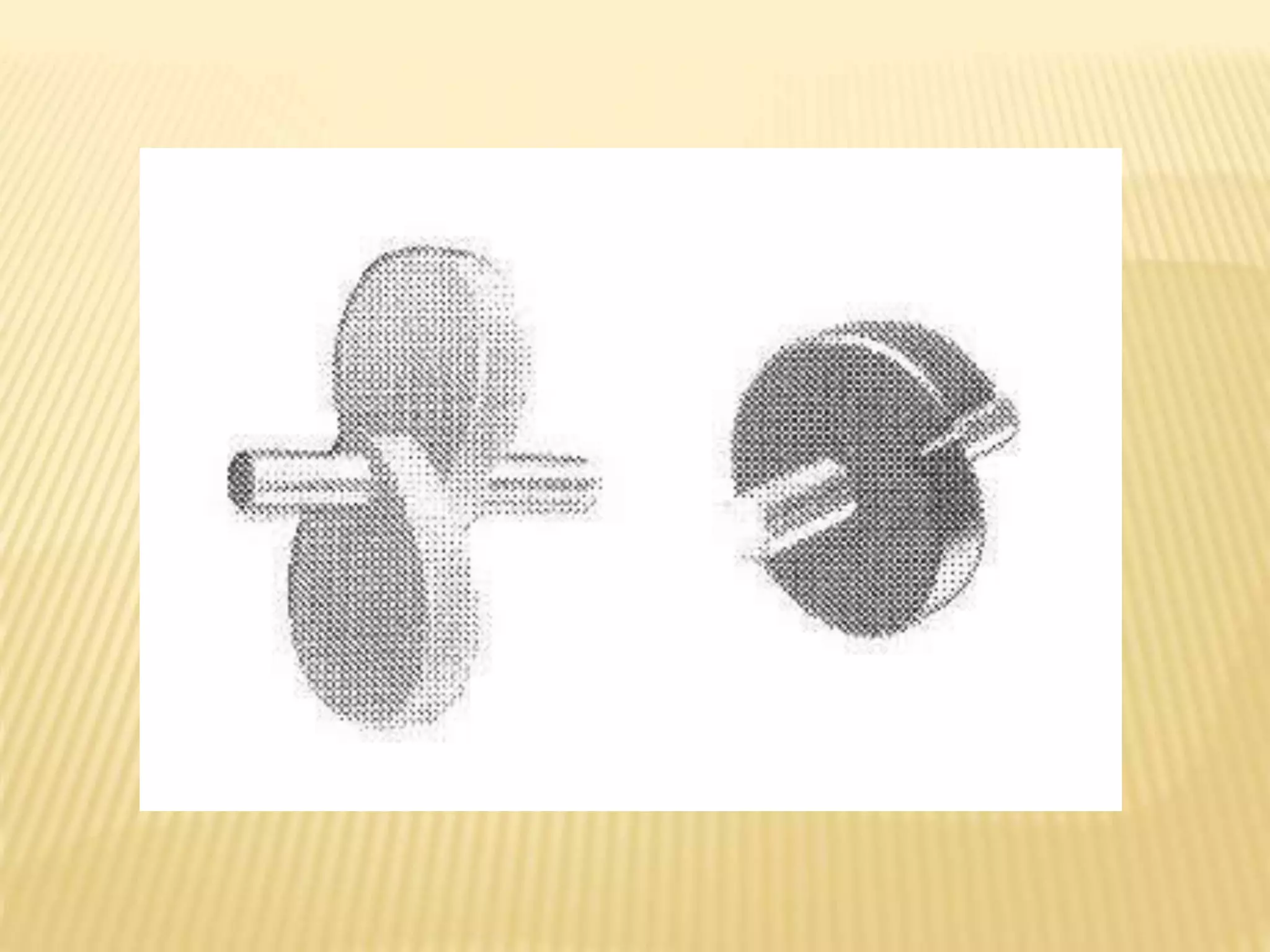 Primary motions of Loom. | PDF