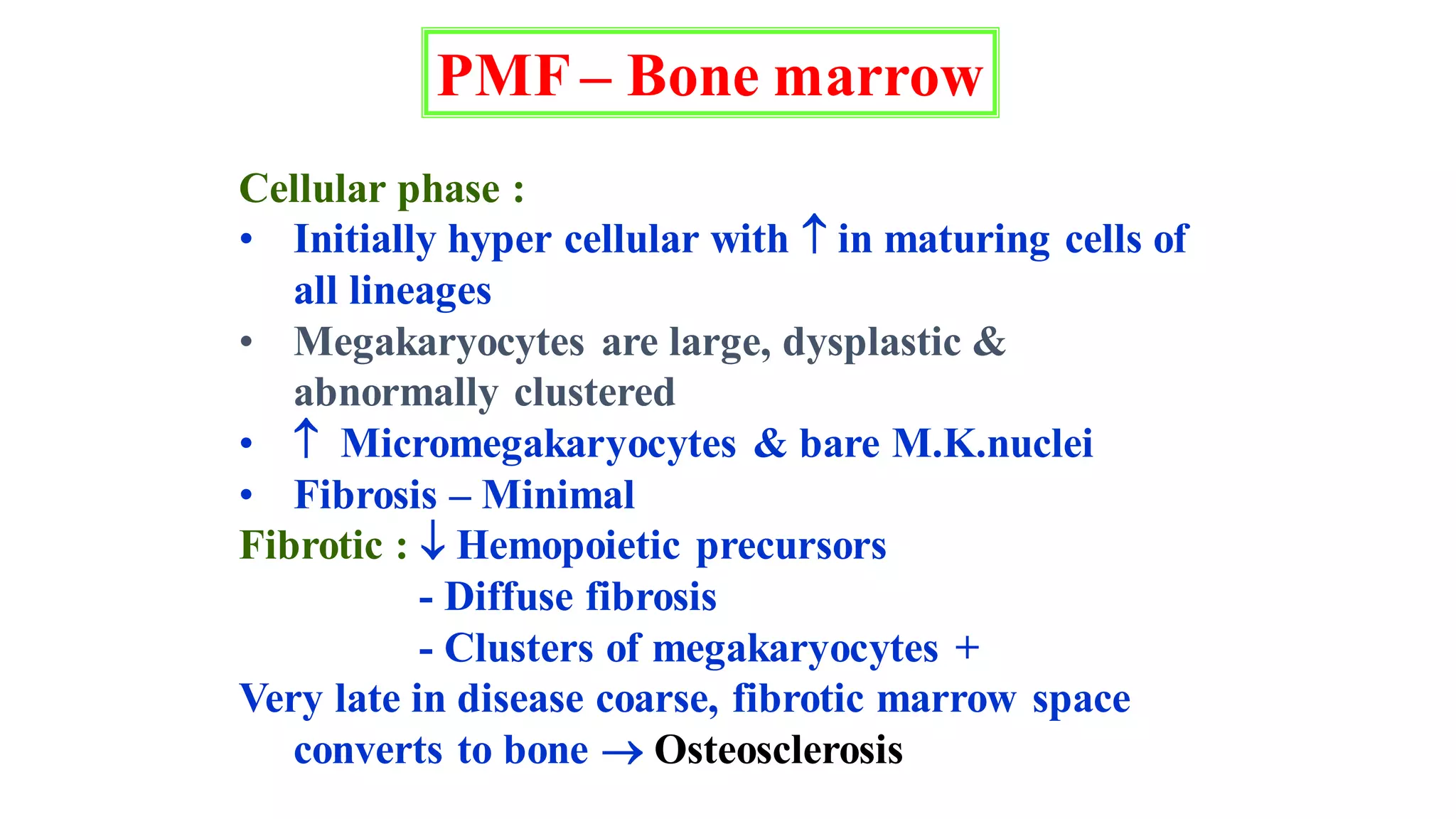 Primary-myelofibrosis.pdf