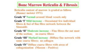 Primary-myelofibrosis.pdf