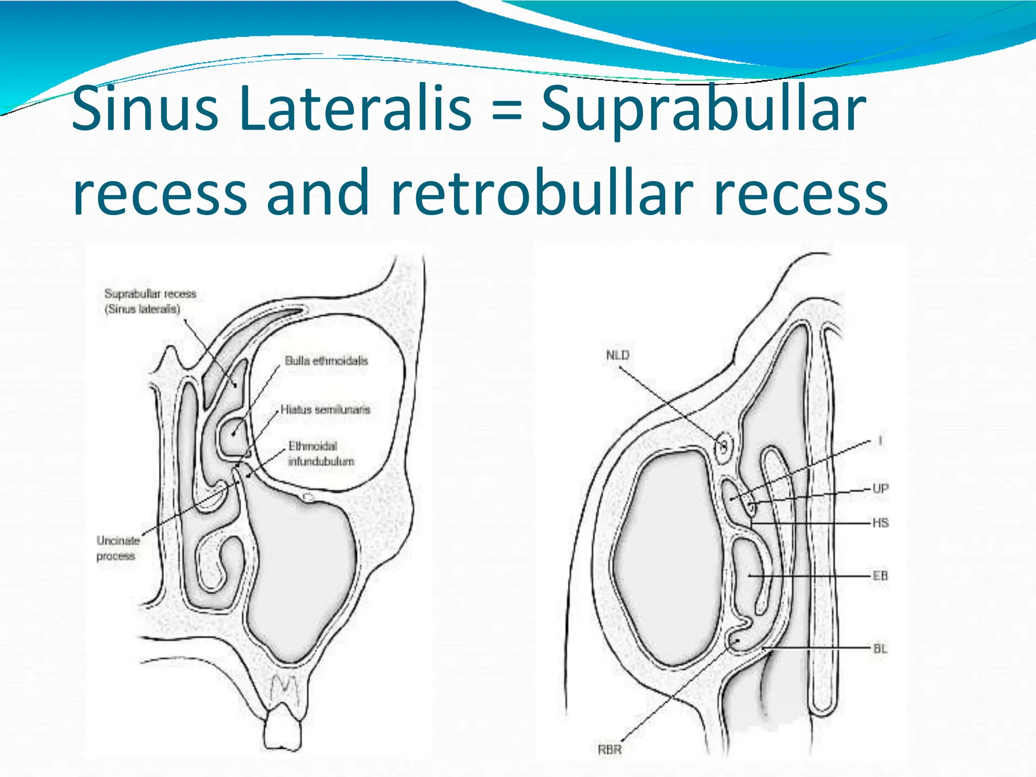 primary-sinus-surgery_compress.pptx
