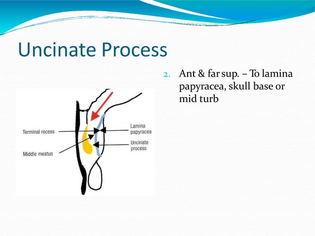primary-sinus-surgery_compress.pptx