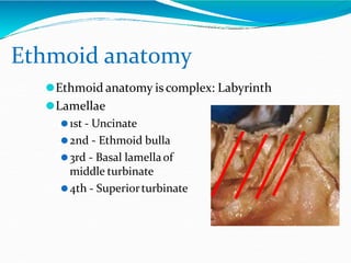 primary-sinus-surgery_compress.pptx