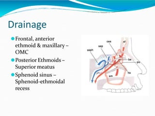 primary-sinus-surgery_compress.pptx
