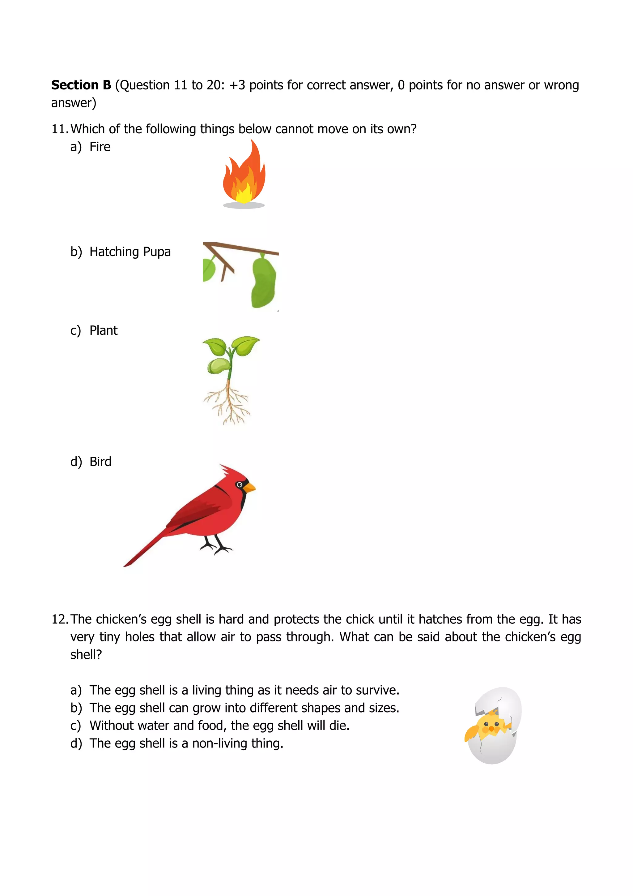 Vanda International Science Competition Primary Grade 3 | PDF