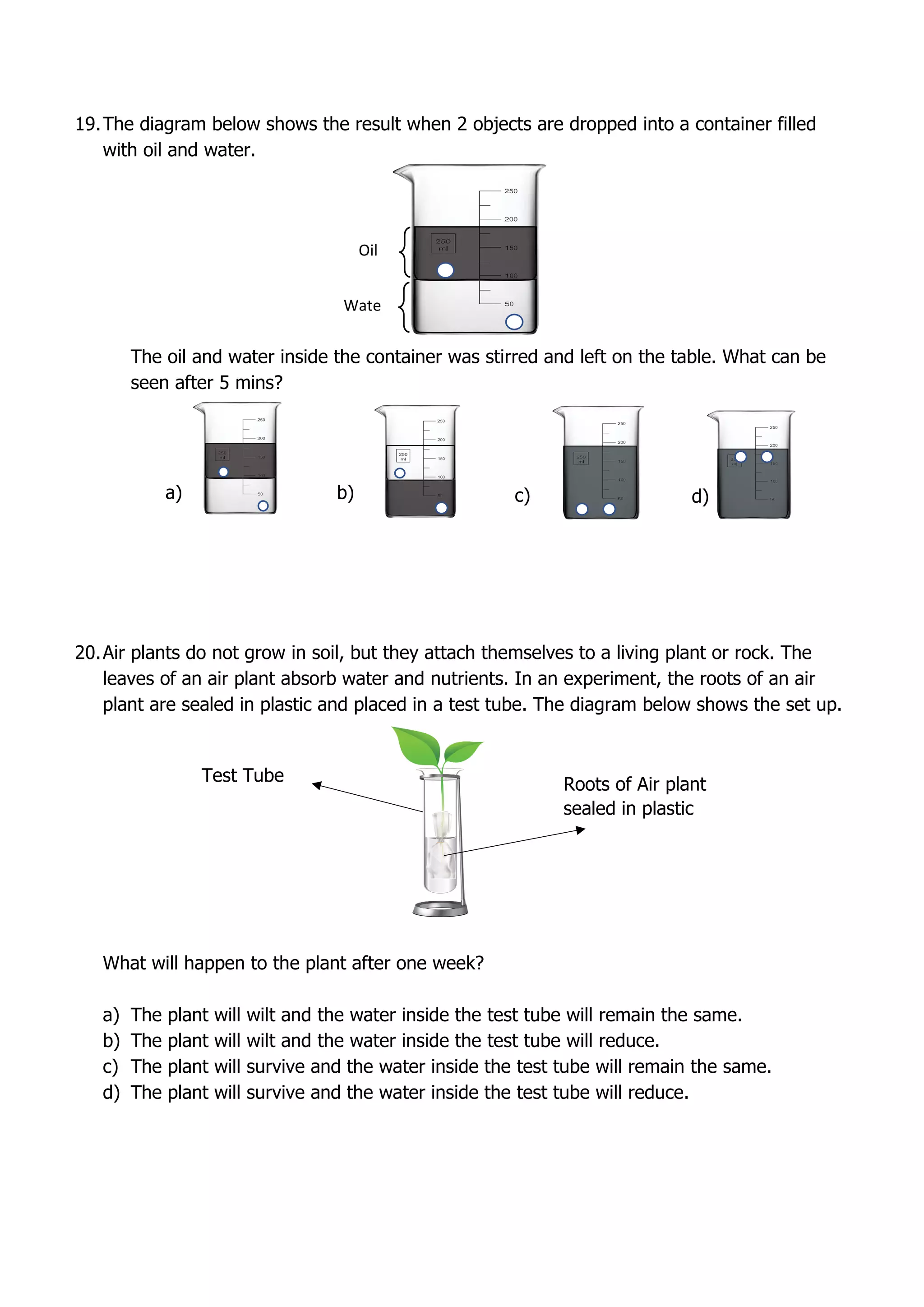 Vanda International Science Competition Primary Grade 3 | PDF