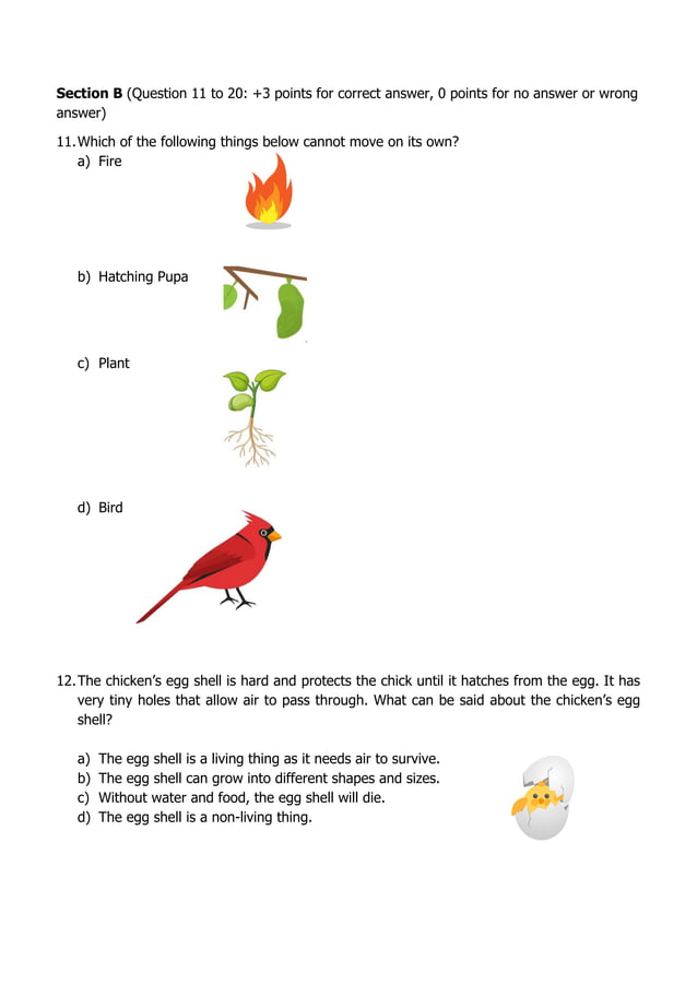 Vanda International Science Competition Primary Grade 3 | PDF ...