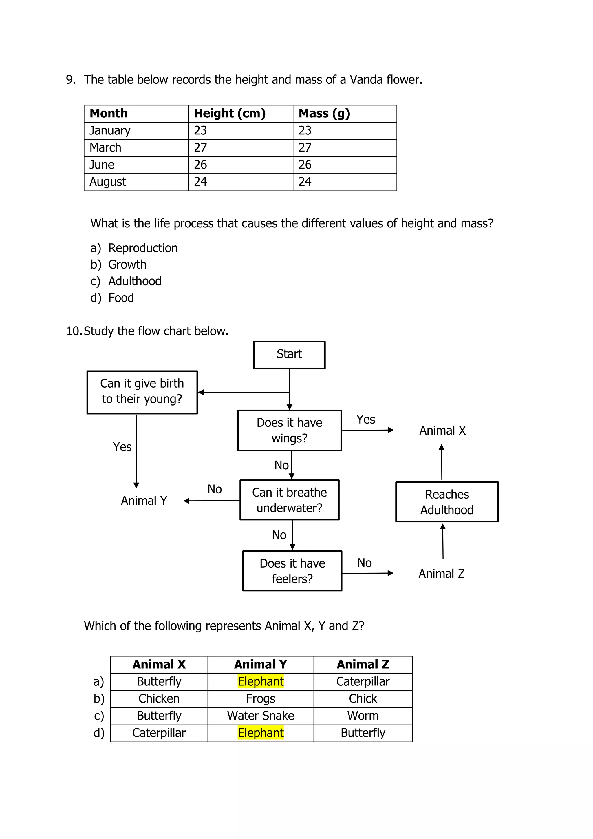 Vanda International Science Competitions Primary Grade 4 | PDF