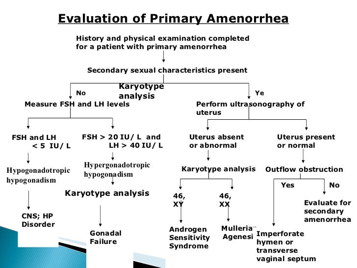 gynaecology.Primary amenorrhea.(dr.sundus)