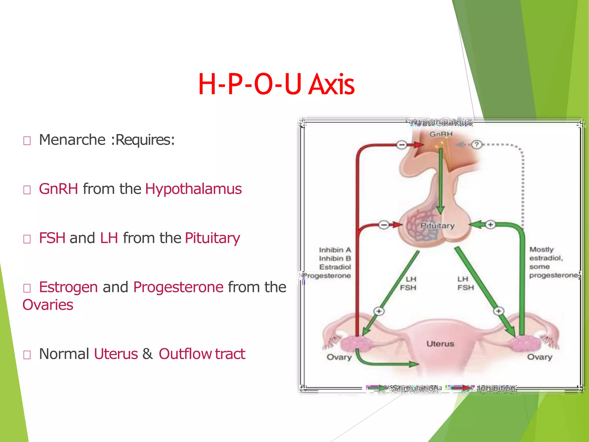 Primary amenorrhea and management | PPTX
