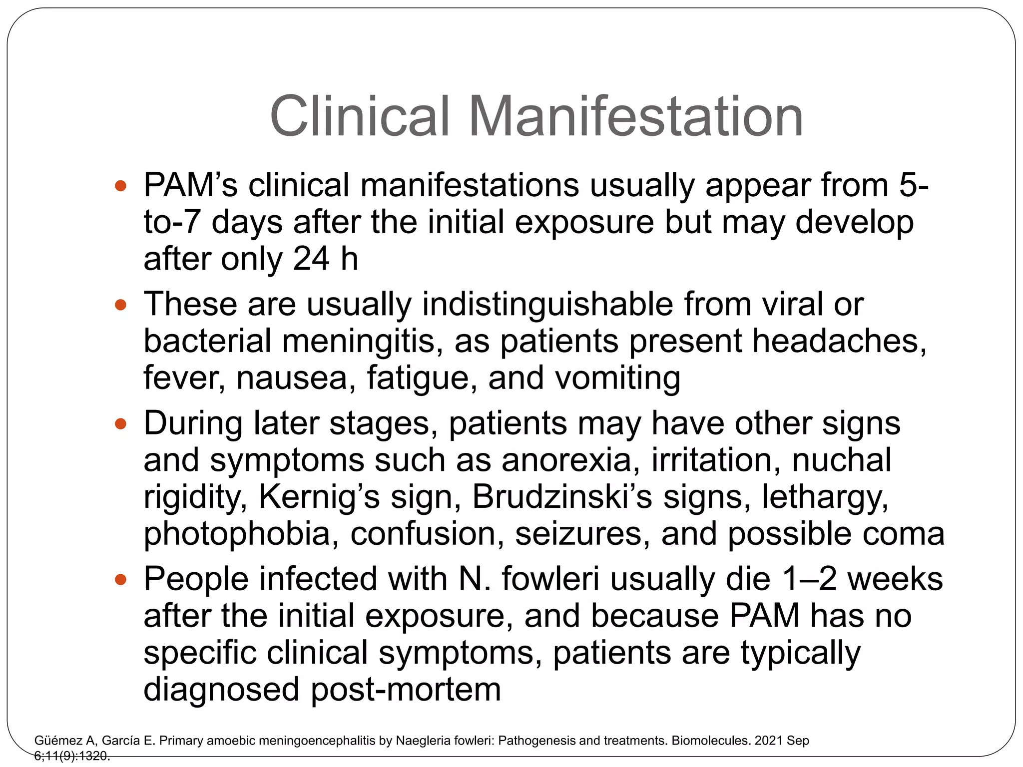 Primary Amoebic Meningoencephalitis.pptx