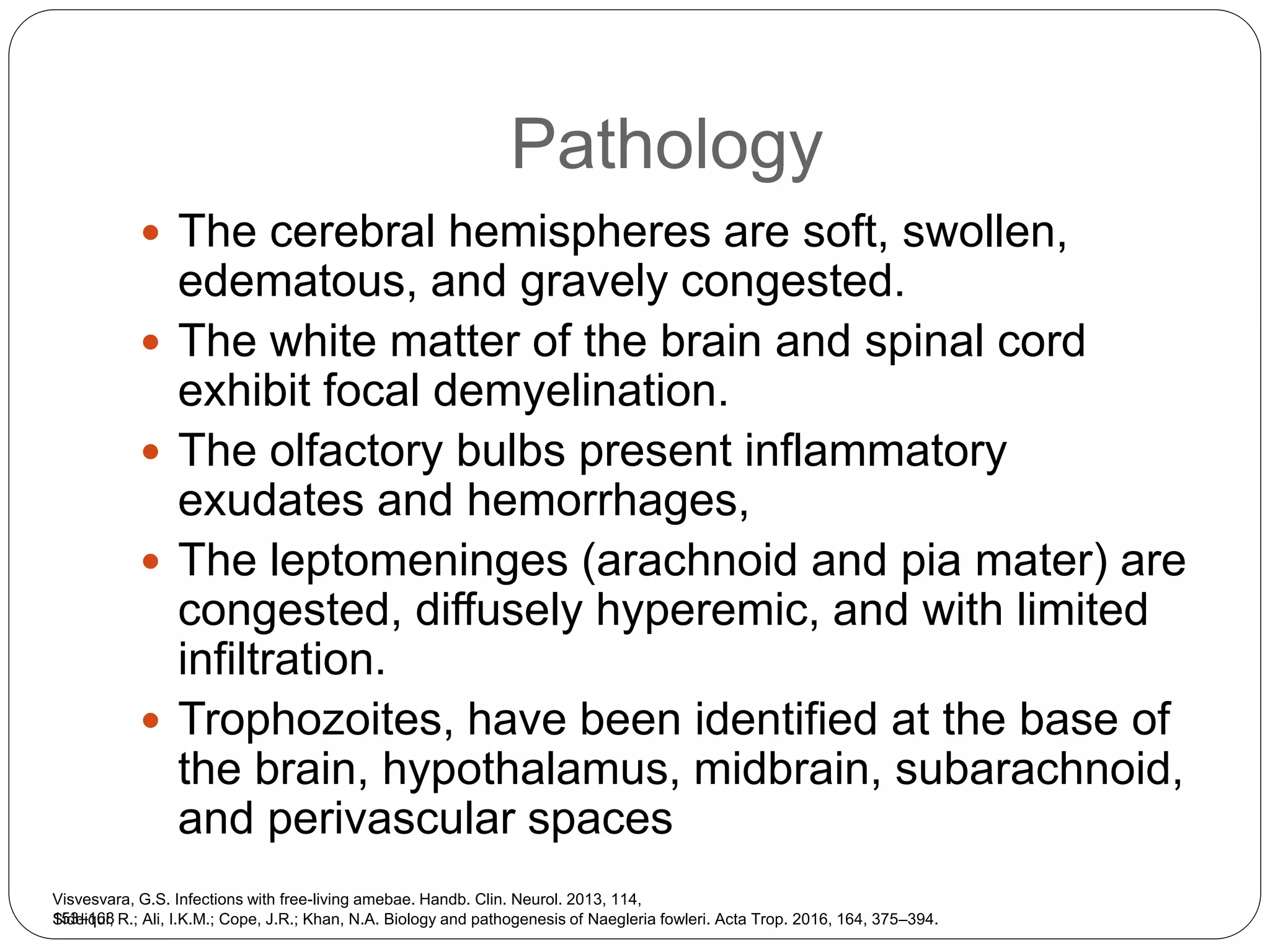 Primary Amoebic Meningoencephalitis.pptx