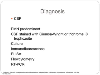 Primary Amoebic Meningoencephalitis.pptx