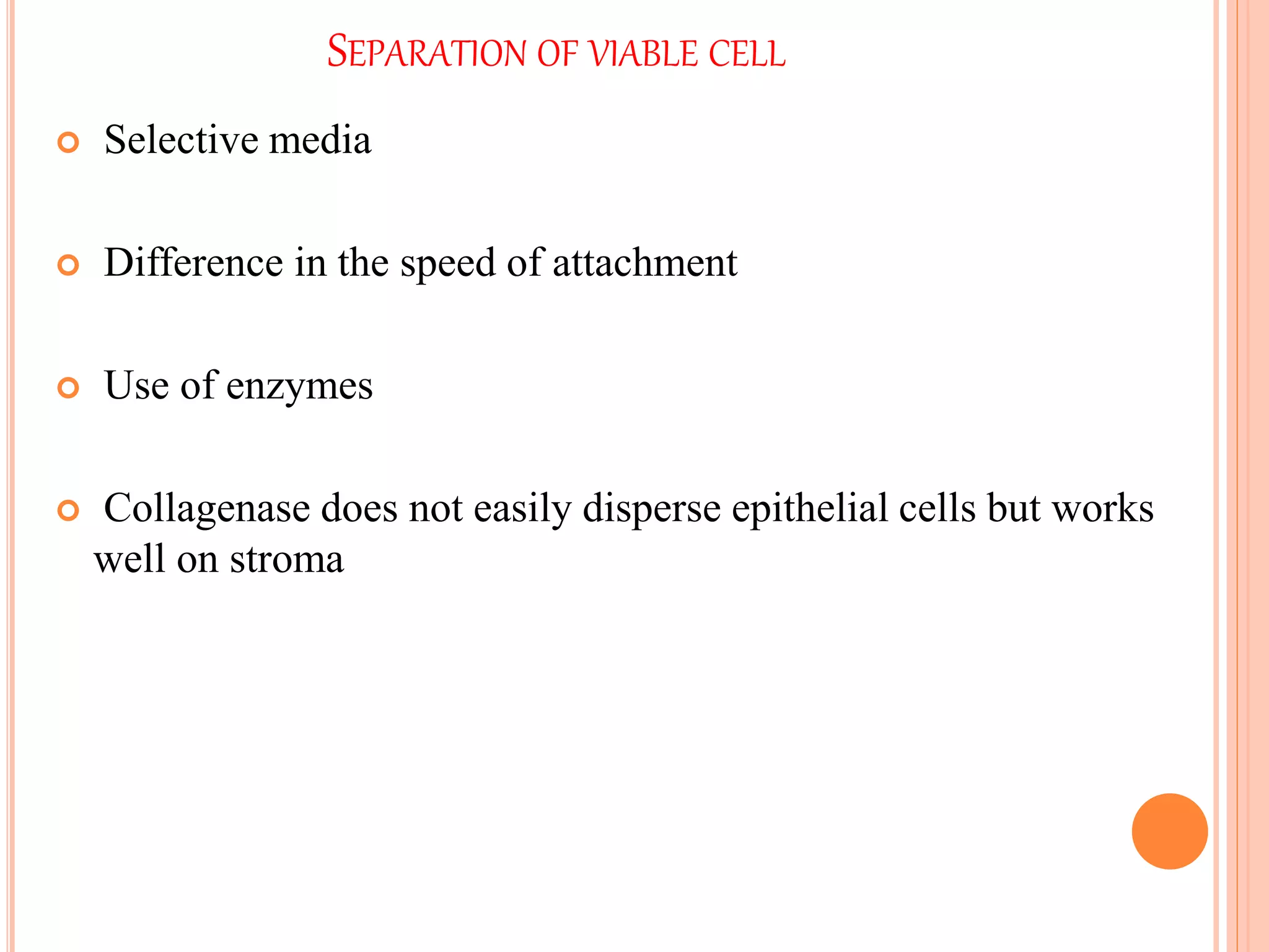 Primary and established cell line culture | PPTX