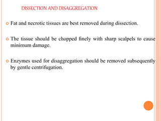 Primary and established cell line culture | PPTX