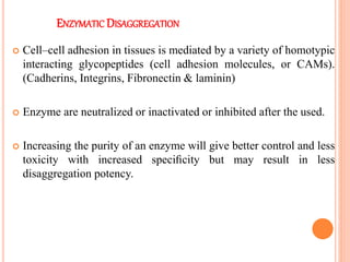 Primary and established cell line culture | PPTX