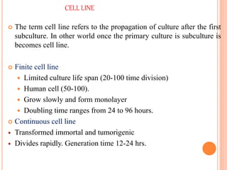 Primary and established cell line culture | PPTX