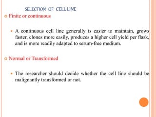 Primary and established cell line culture | PPTX