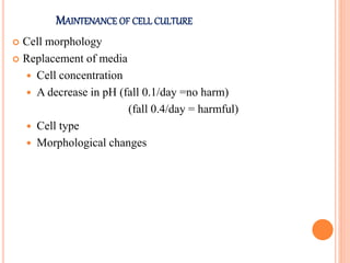 Primary and established cell line culture | PPTX