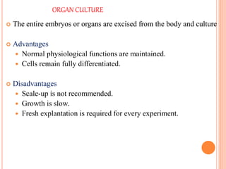 Primary and established cell line culture | PPTX