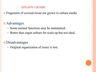 Primary and established cell line culture | PPTX